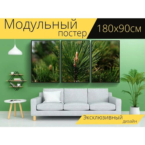 Модульный постер "Дерево сосны, сосновые иголки, завод" 180 x 90 см. для интерьера