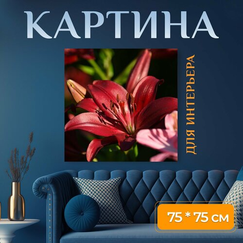 Картина на холсте "Лилии, цветы, блум" на подрамнике 75х75 см. для интерьера