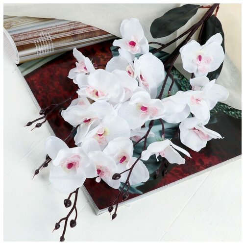 Цветы искусственные "Орхидея фаленопсис" 8х80 см, белый