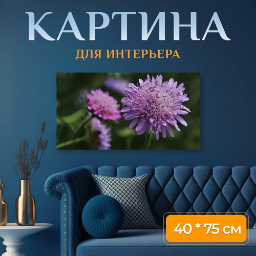 Картина на холсте "Полевые цветы, фиолетовый, зерновой" на подрамнике 75х40 см. для интерьера