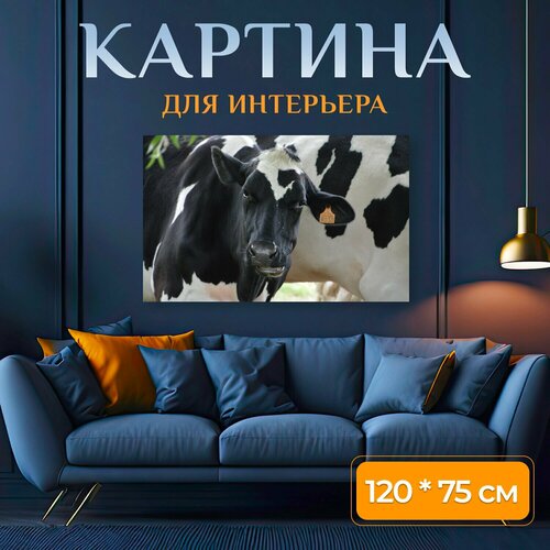 Картина на холсте "Животное, млекопитающее, корова" на подрамнике 120х75 см. для интерьера