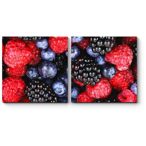 Модульная картина Сладкие ягоды 50x25