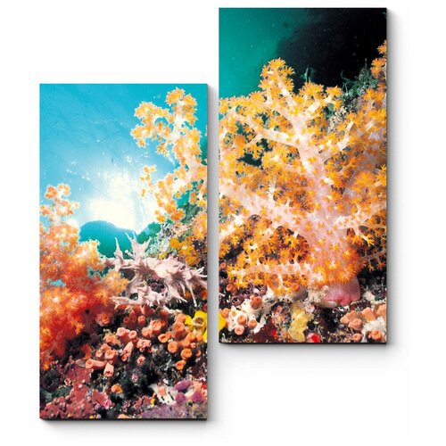 Модульная картина Яркий коралловый мир 50x63