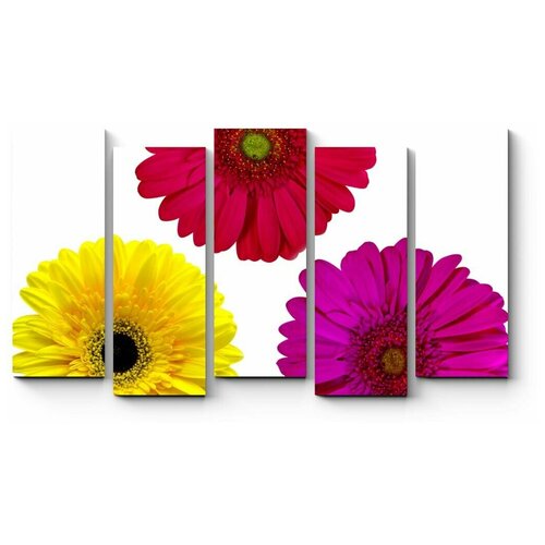 Модульная картина Насыщенность цветочных красок160x92