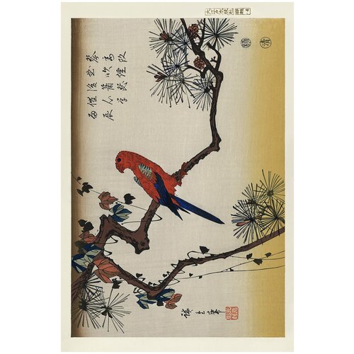Постер / Плакат / Картина Попугай Ара на ветке сосны 50х70 см в раме