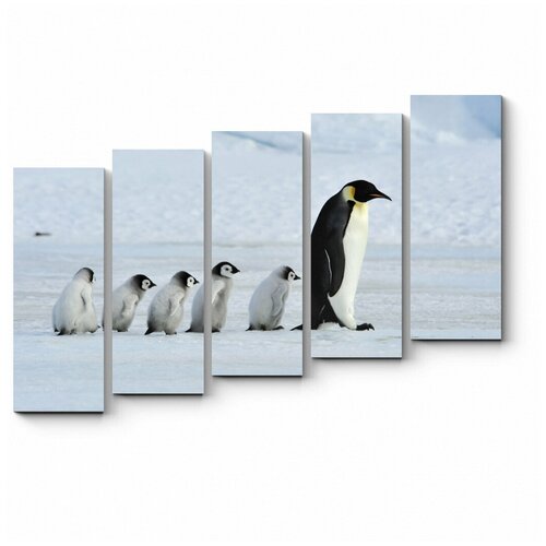 Модульная картина Семейство пингвинов на прогулке 150x105