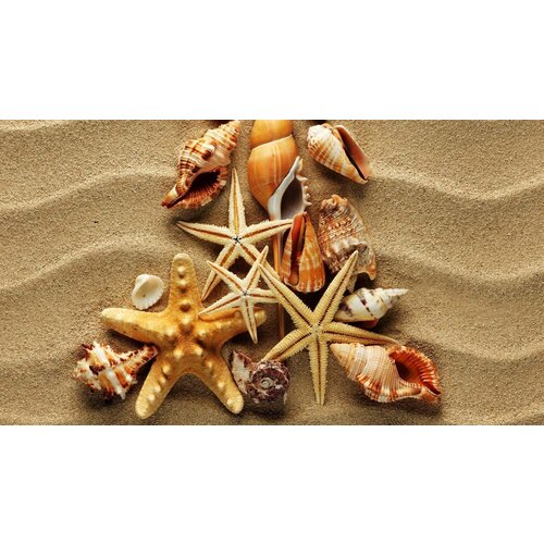 Картина на холсте 60x110 LinxOne "Песок ракушки волны морские звезды" интерьерная для дома / на стену / на кухню / с подрамником