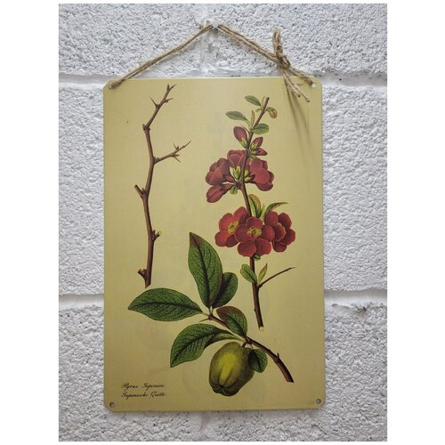 Ботаника, все виды растений. Табличка металлическая, картина на жести, декор интерьера, плакат, постер, подарок