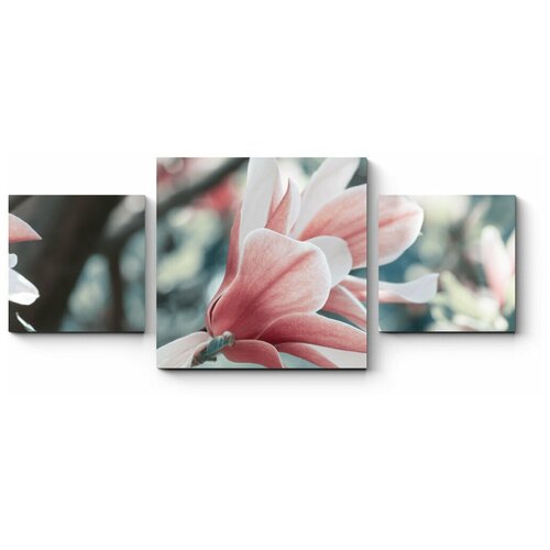 Модульная картина Нежные цветы магнолии 90x39