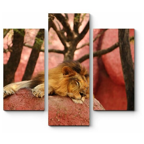 Модульная картина Африканский лев отдыхает100x90