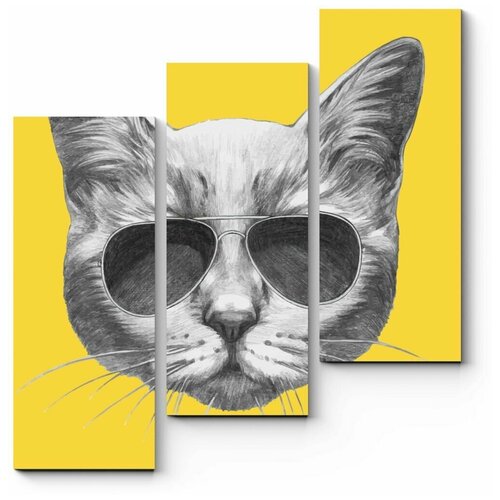 Модульная картина Просто серый кот в очках 70x75