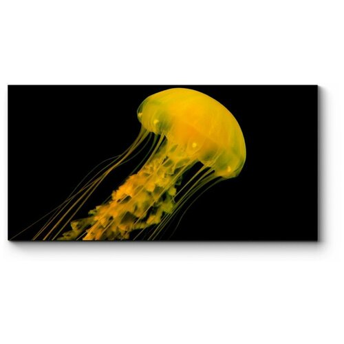 Модульная картина Золотая медуза 100x50