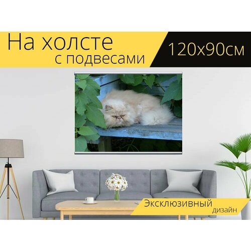 Картина на холсте "Персидская кошка, домашнее животное, кот" с подвесами 120х90 см. для интерьера