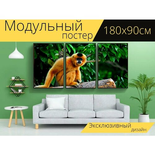 Модульный постер "Обезьяна, примат, азия" 180 x 90 см. для интерьера