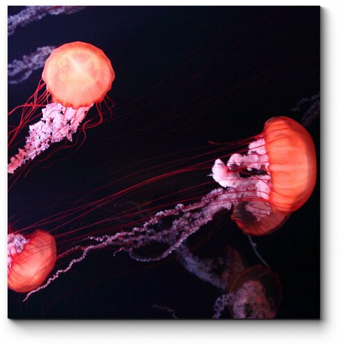 Модульная картина Танец медуз 60x60