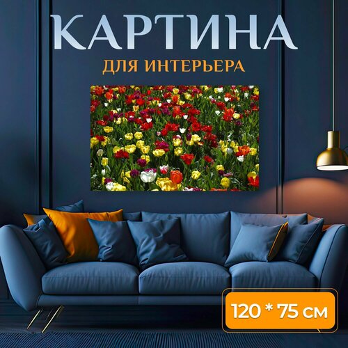Картина на холсте "Тюльпан, цветок, цветы" на подрамнике 120х75 см. для интерьера