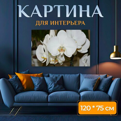 Картина на холсте "Орхидея белый, украшения, коллектор" на подрамнике 120х75 см. для интерьера