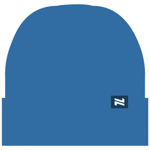 Шапка Nordski, размер OneSize, голубой