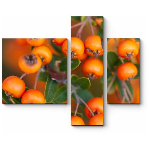 Модульная картина Спелые ягоды рябины 130x107