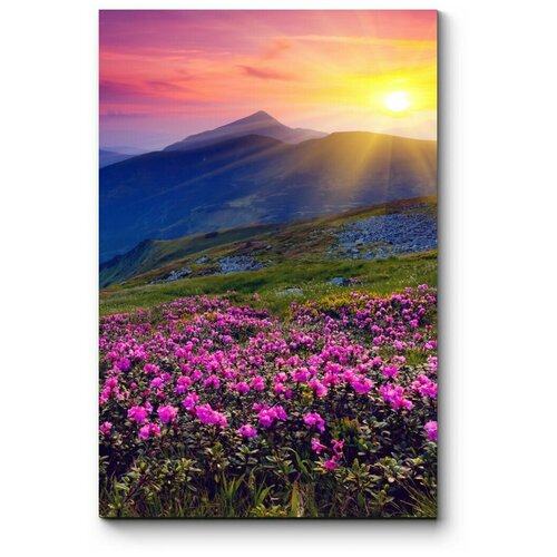 Модульная картина Розовые рододендроны в горах 50x75