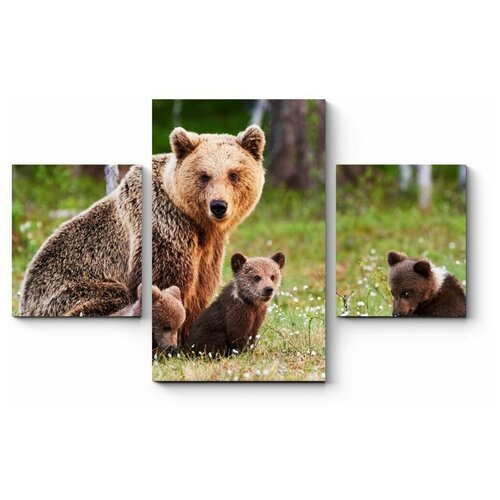 Модульная картина Семья очаровательных медведей 120x78