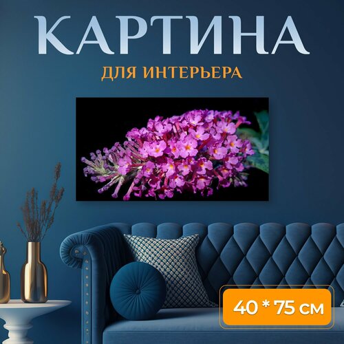 Картина на холсте "Цветок, фиолетовый, летом" на подрамнике 75х40 см. для интерьера