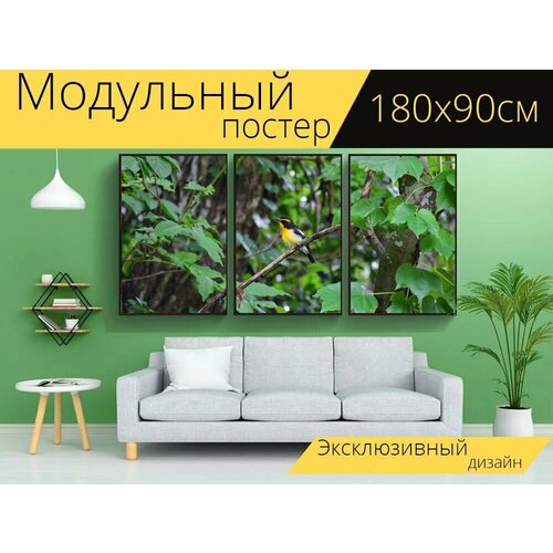 Модульный постер "Животное, лес, зеленый" 180 x 90 см. для интерьера