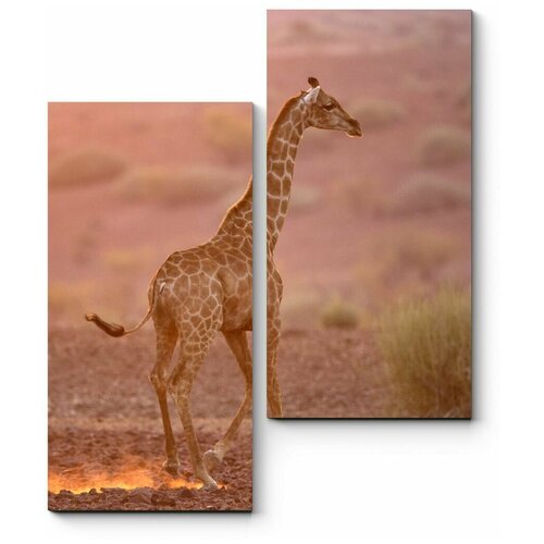 Модульная картина Одинокий жираф40x50