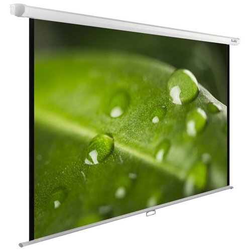 Рулонный матовый белый экран cactus WallExpert CS-PSWE-200x150-WT, 99", белый