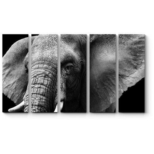 Модульная картина Портрет слона 190x114