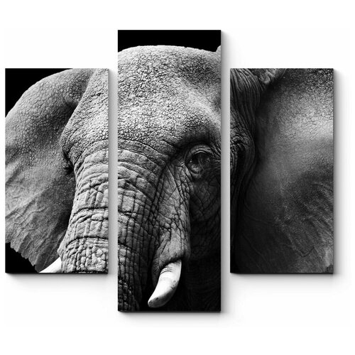 Модульная картина Портрет слона120x108