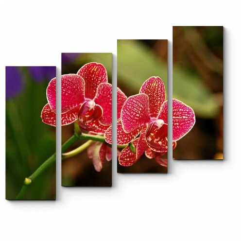 Модульная картина Невероятно красивая тропическая орхидея 130x112