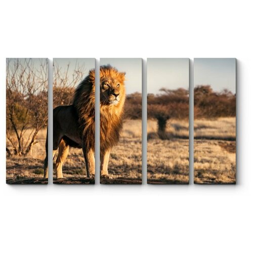 Модульная картина Одинокий лев 110x66