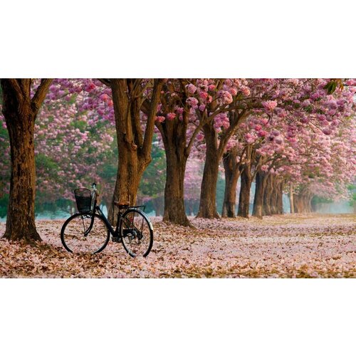 Картина на холсте 60x110 Альянс Лес "Аллея велосипед цветение" на подрамнике / интерьер/ декор