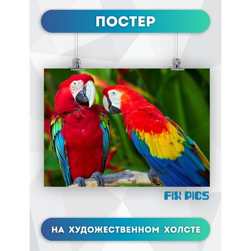 Постер на холсте Попугай (11) 50х70 см