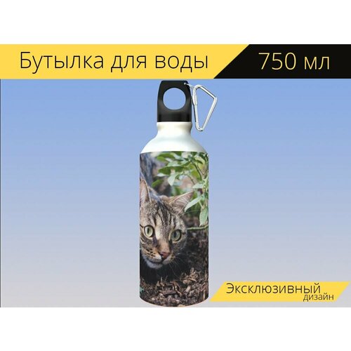 Бутылка фляга для воды "Кошка, домашний питомец, животное" 750 мл. с карабином и принтом