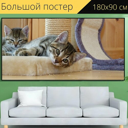Большой постер "Домашнее животное, котенок, молодой кот" 180 x 90 см. для интерьера