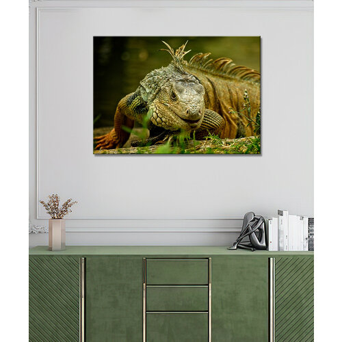 Картина -Игуана, мадагаскарская игуана, коричневая игуана (13) 50х70