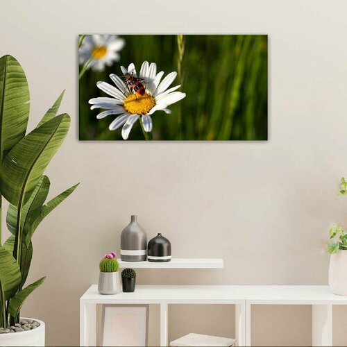 Картина на холсте 60x110 LinxOne "Цветок, ромашка, жук" интерьерная для дома / на стену / на кухню / с подрамником