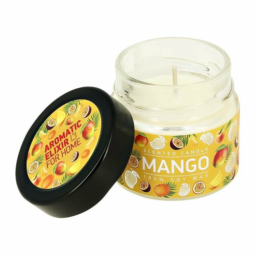 Свеча ароматическая BAGO HOME Манго маракуйя 80 гр