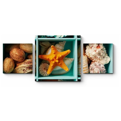 Модульная картина Коробочка с морскими сокровищами110x47
