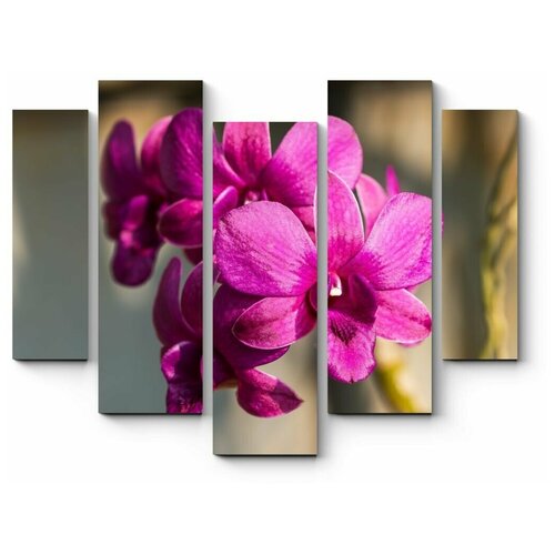Модульная картина Королева цветов - прекрасная орхидея 101x82