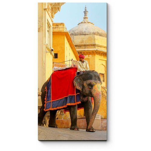 Модульная картина Индийский слон 40x80