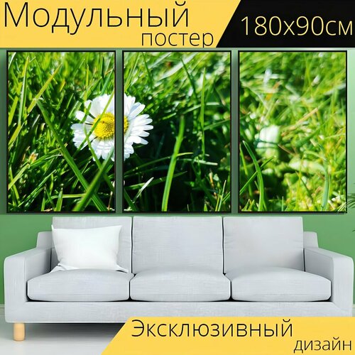 Модульный постер "Цветок, весна, природа" 180 x 90 см. для интерьера