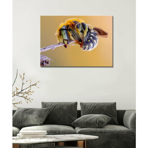 Картина/Пчела/Пчелы/Пчела на цветке/Пчела вблизи/Пчелакрупным планом/ - Пчела (42) 20х30