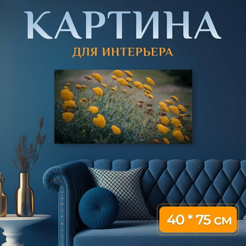 Картина на холсте "Коронация золотой цветок тысячелистника, цветы, завод" на подрамнике 75х40 см. для интерьера