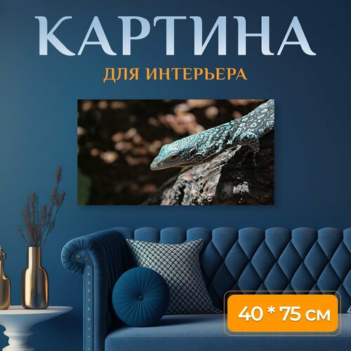 Картина на холсте "Ящерица, рептилия, зоопарк" на подрамнике 75х40 см. для интерьера