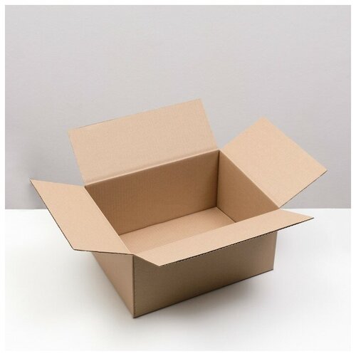 Коробка складная, бурая, 31,5 х 16 х 10 см