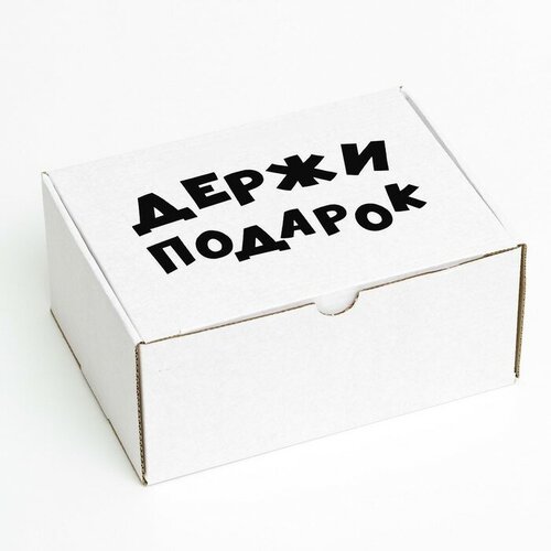 SUI Коробка самосборная "Держи подарок", 22 х 16,5 х 10 см
