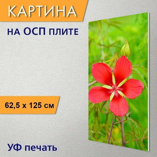 Вертикальная картина на ОСП "Бабочка, цветок, природа" 62x125 см. для интерьериа